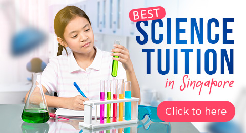 Tickikids Singapore - get a list of events for kids