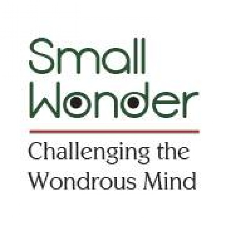 Small Wonder Singapore | Tickikids Singapore