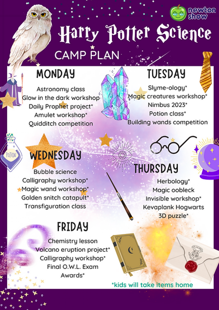 Summer Camp @Newton Show | Tickikids Hong Kong