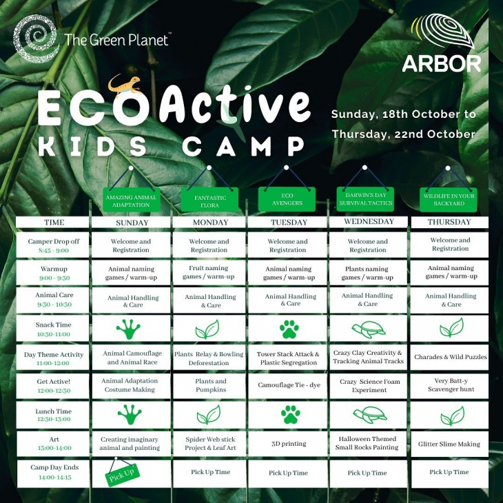 Half Term EcoActive Kids Camp | Tickikids Dubai